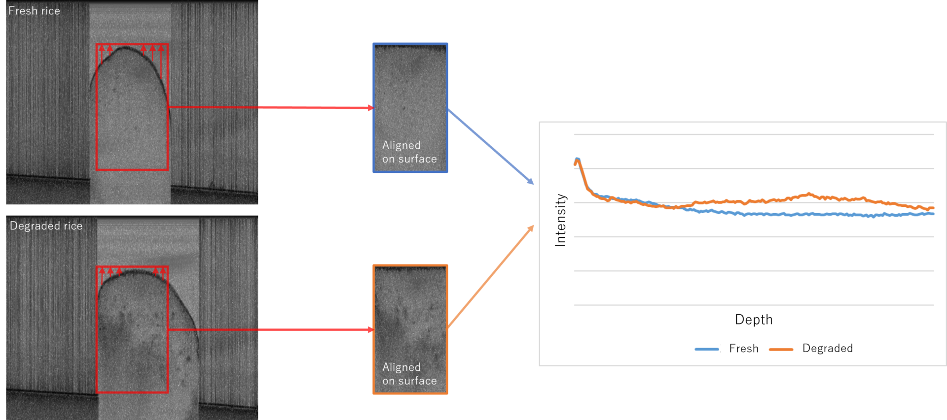 Post-processing software options - 株式会社スカイテクノロジー