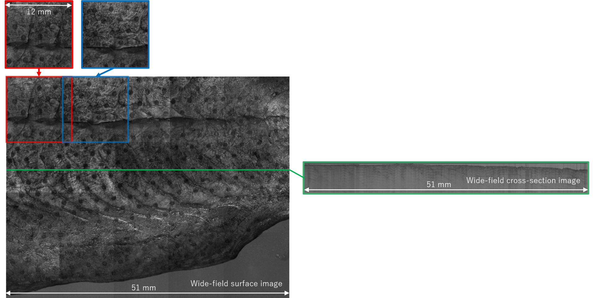 Post-processing software options - 株式会社スカイテクノロジー
