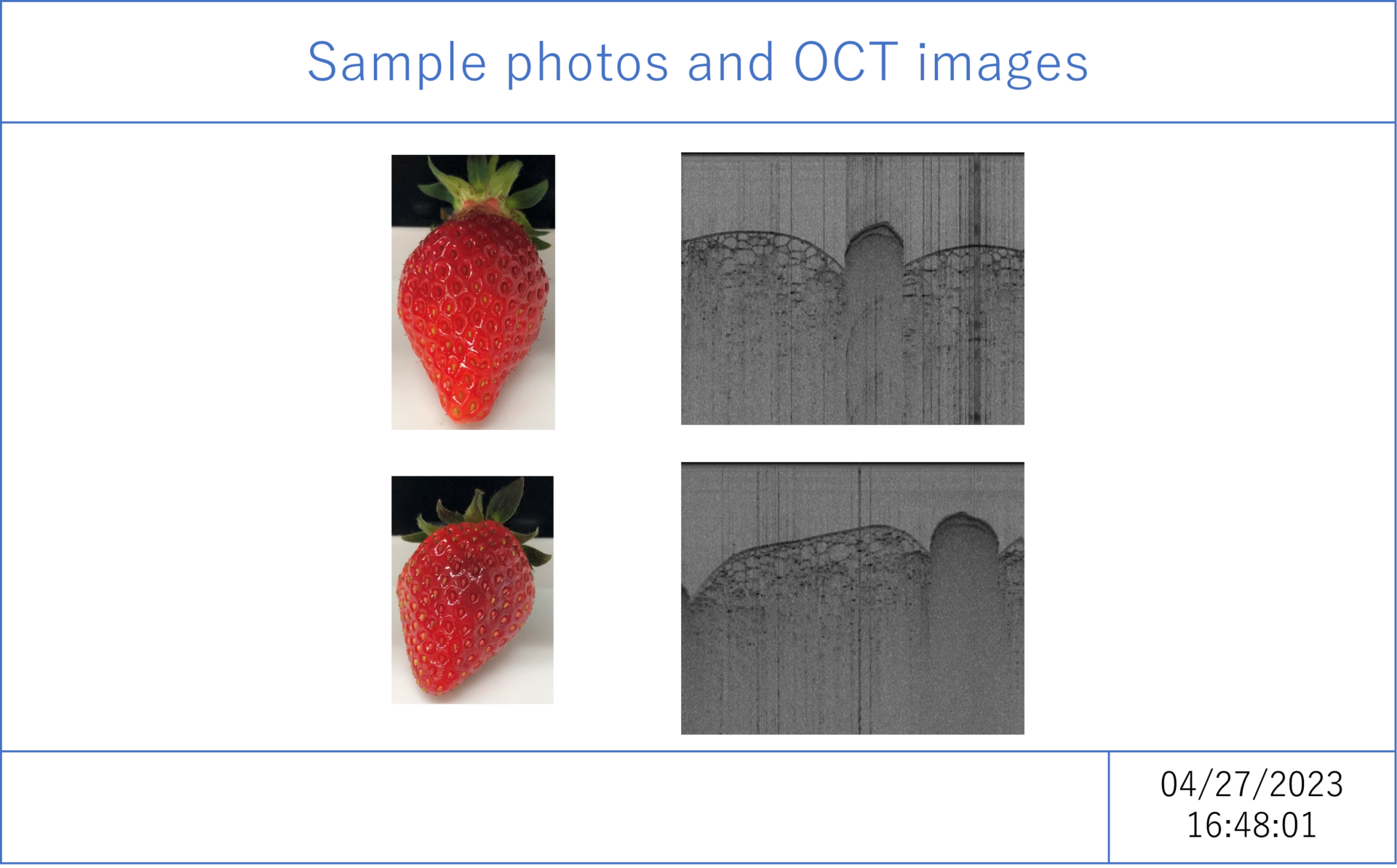 Post-processing software options - 株式会社スカイテクノロジー